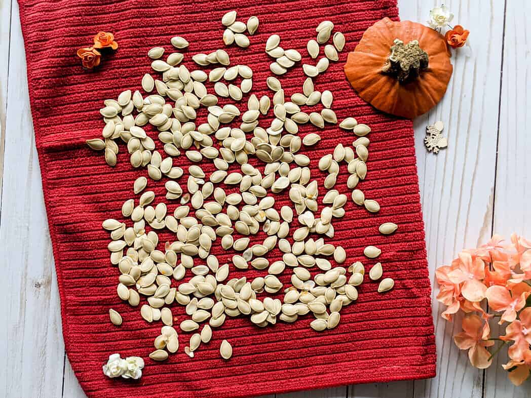 Roasted Pumpkin Seeds Recipe Easy And Flavorful Herbs N Garlic