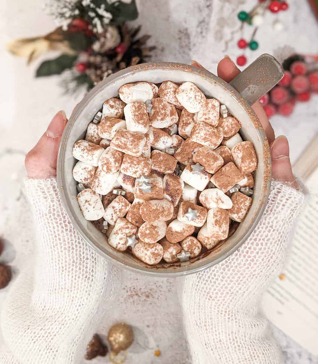 Make this Delicious & Healthy Hot Cocoa Recipe | Herbs N Garlic