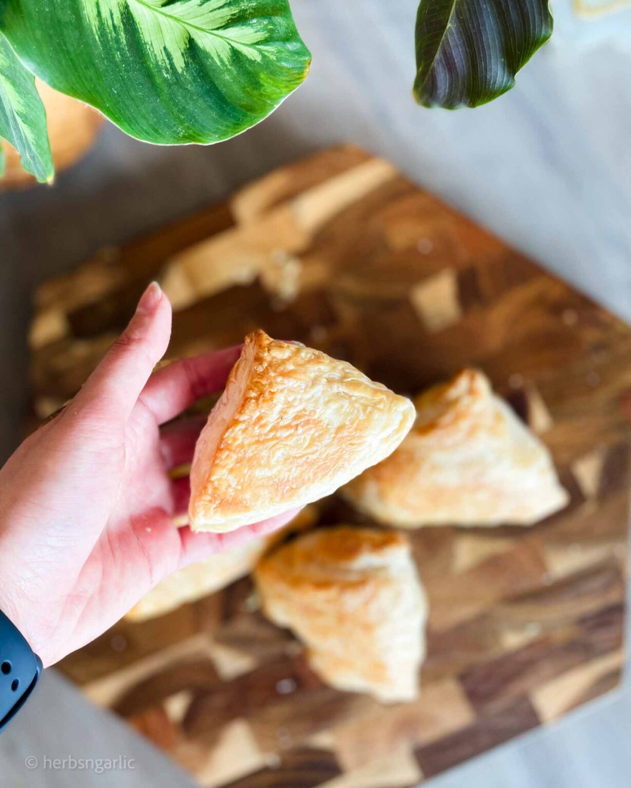 Veggie Samosa with Frozen Paratha Recipe | Herbs N Garlic